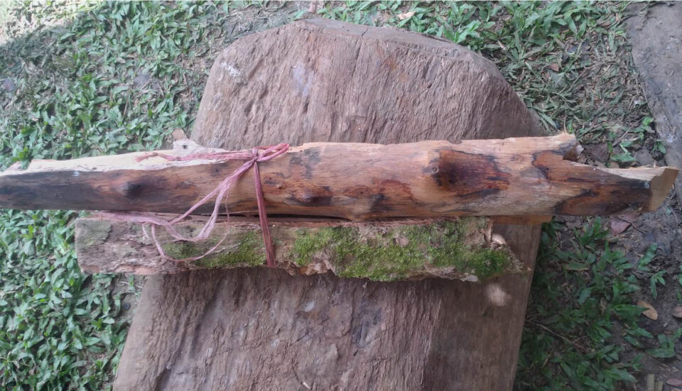 Dayong is how Visayans do Bayanihan - Dang's Notes